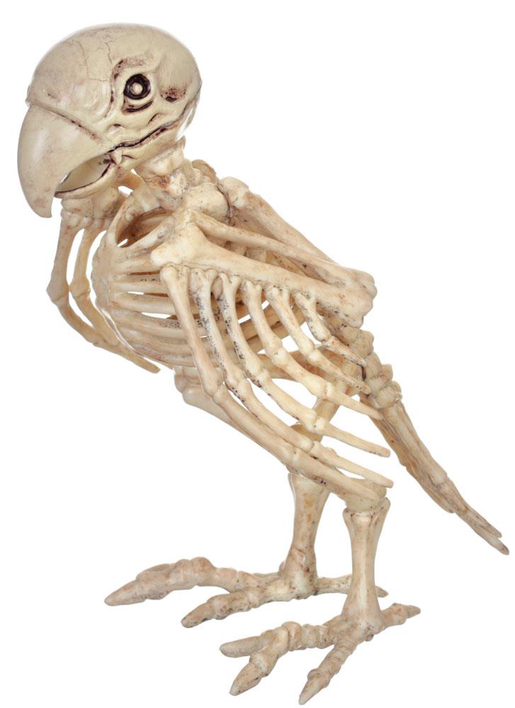 Parrot Skeleton Halloween Prop | Discount Party Supplies - Discount ...
