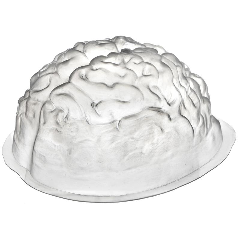 Brain Shaped Large Plastic Jelly Mould - Discount Party Supplies