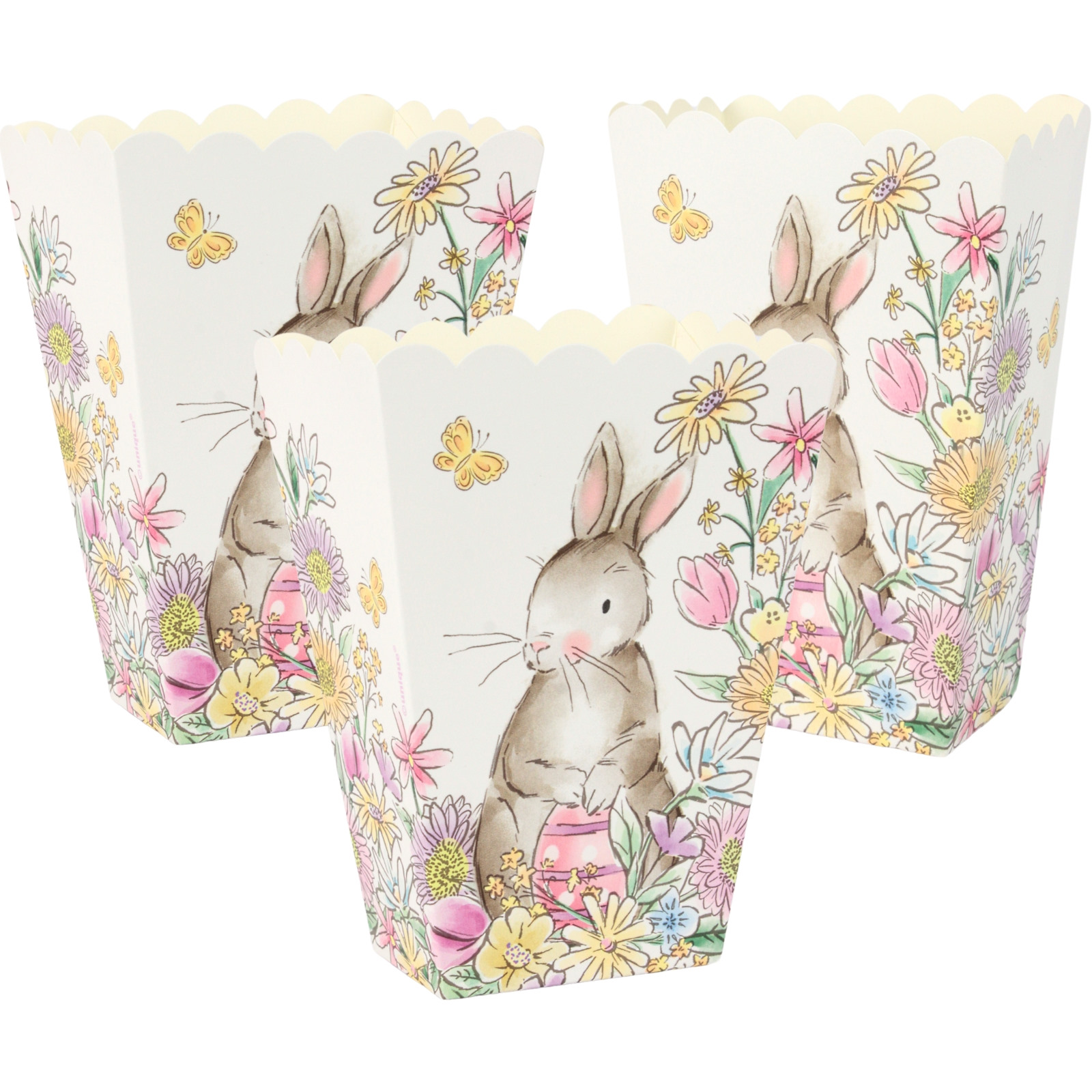 Easter Whimsy Mini Lolly/Treat Boxes (Pack of 6) - Discount Party Supplies