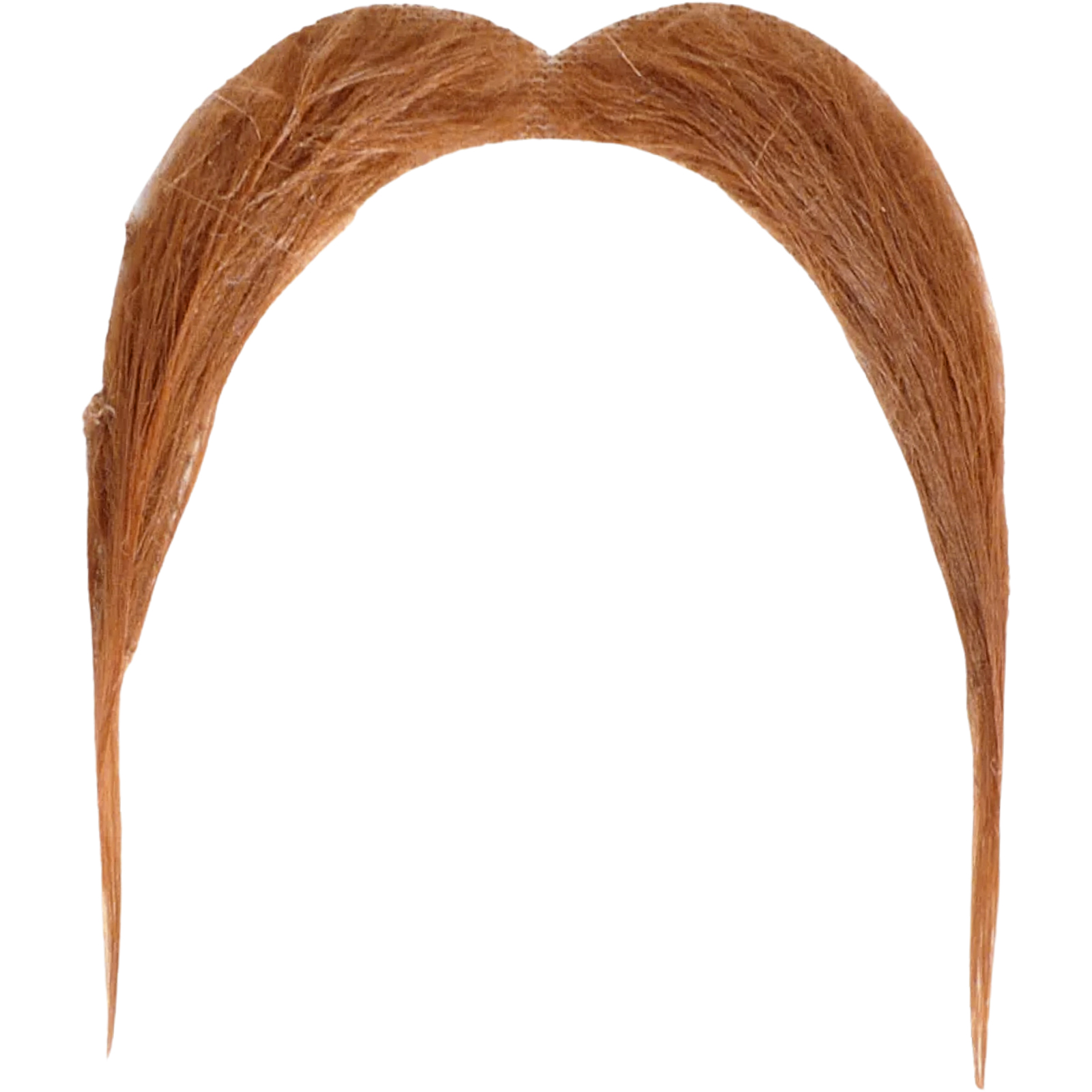 Ginger Brown Party Moustache - Discount Party Supplies