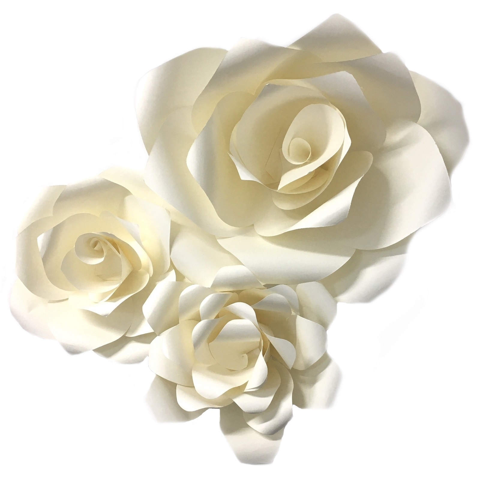 Handmade Paper Rose Kit 30cm | Floral Party Party Supplies | Themed ...