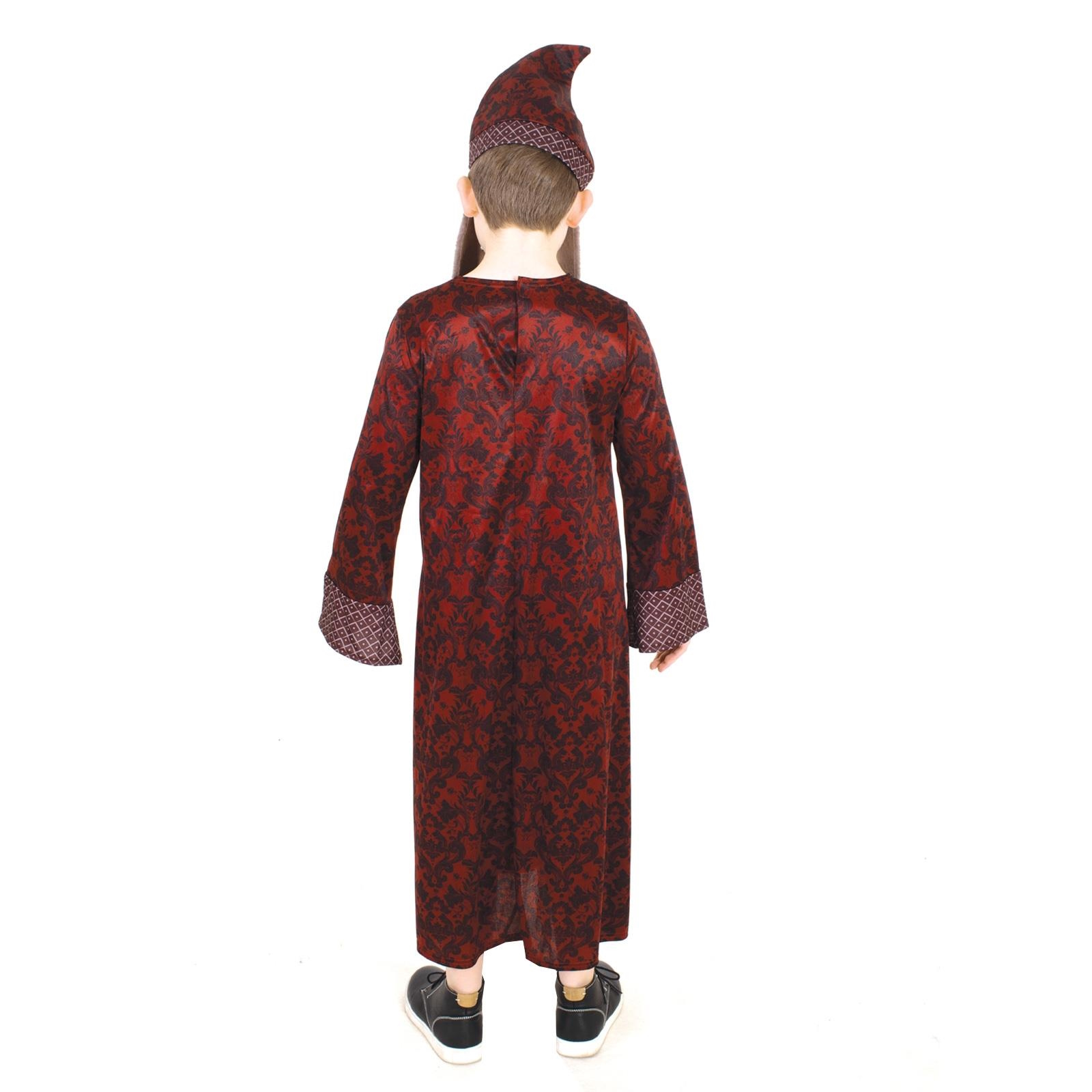Harry Potter Dumbledore Child Costume | Boys Costumes Party Supplies ...