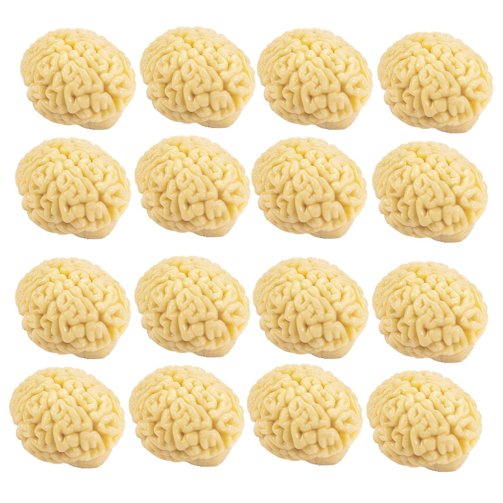 Squishy Rubber Brains (Pack of 12) | Science Laboratory | Boys and ...