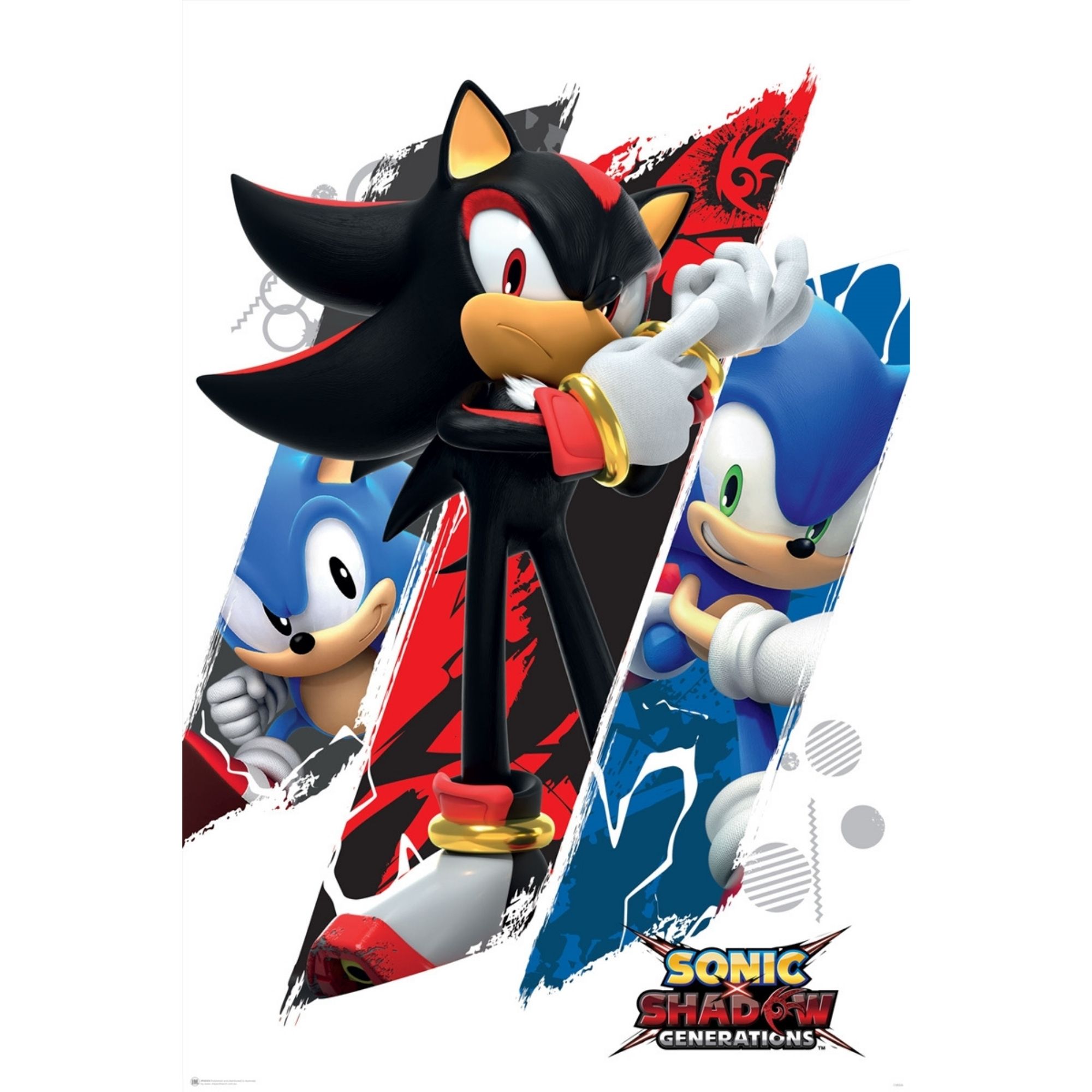 Sonic The Hedgehog & Shadow Generations Poster - Discount Party Supplies