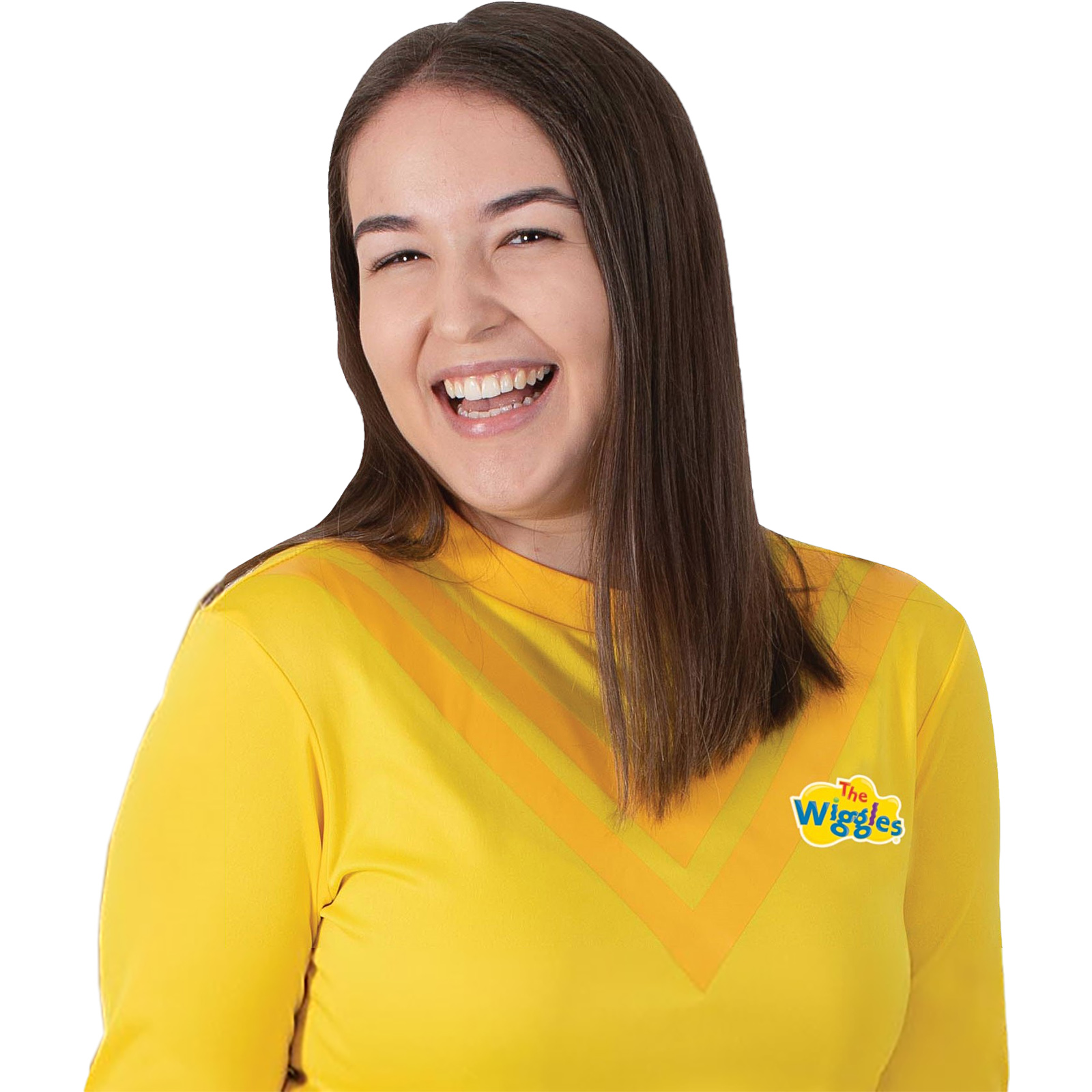 The Wiggles Yellow Wiggle Shirt Adult Costume | Wiggles | Boys and ...